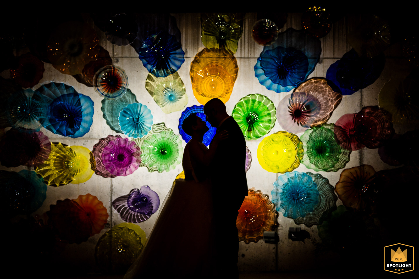 Jason Brown Chicago Wedding Photography – IL WPJA